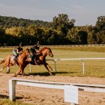 The Montpelier Hunt Races: A Look Behind the Scenes · Visit Orange ...