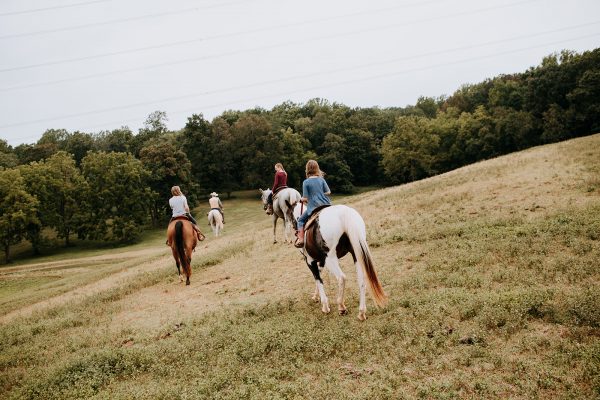 Spring into New Experiences in Orange County, VA! · Visit Orange County ...